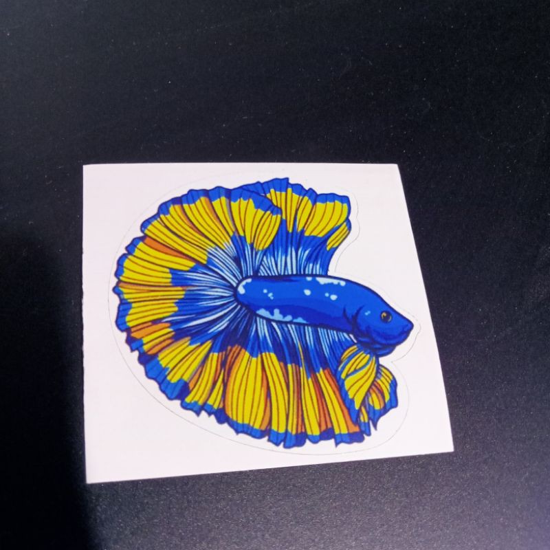 Jual ikan cupang halfmoon stiker gambar tempel ikan hias | Shopee Indonesia
