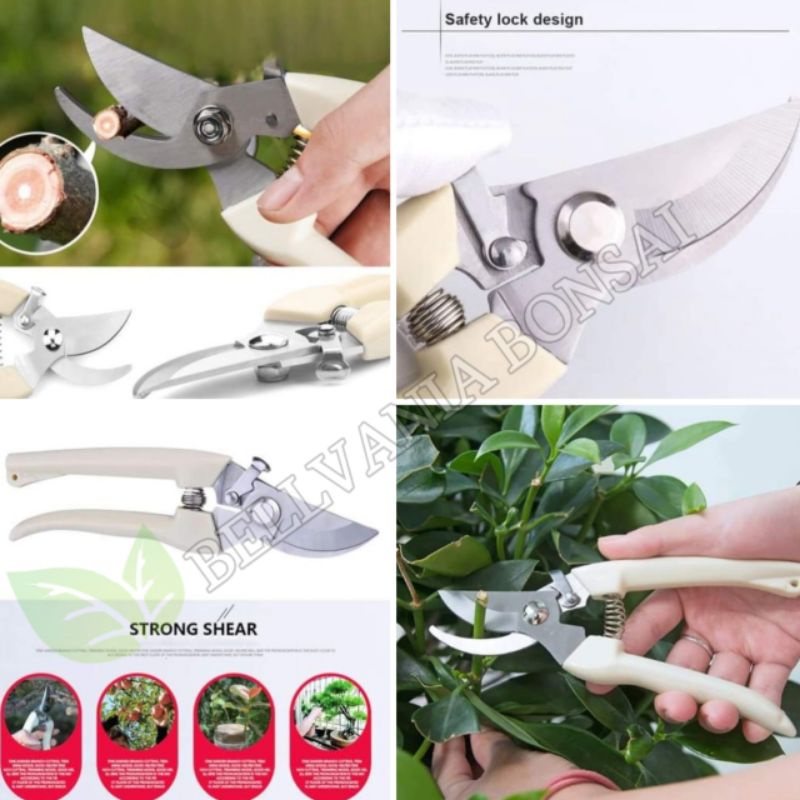 Jual Gunting Dahan Dan Ranting Kingart Panjang 17 Cm | Shopee Indonesia