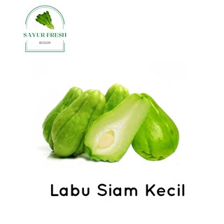 Jual Labu Siam Kecil / Baby labu siam lalap / Sayur Bogor Segar (250 gr ...