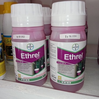 Jual BAYER ETHREL OBAT OLES KARET 250ML/500ML PERANGSANG GETAH PADA ...