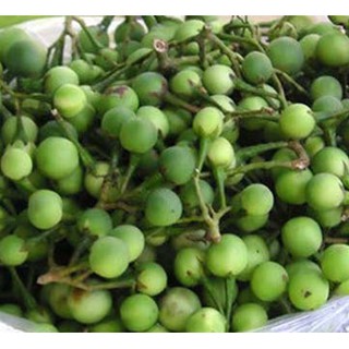 Jual Buah Takokak cepokak per 100 Gram | Shopee Indonesia