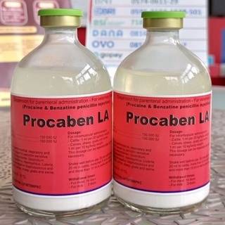 Jual PROCABEN LA Injeksi Antibiotik Penicillin Long Acting | Shopee ...