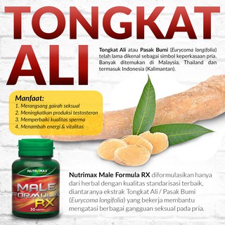 Jual NUTRIMAX MALE FORMULA RX ISI 30 TABLET | Shopee Indonesia