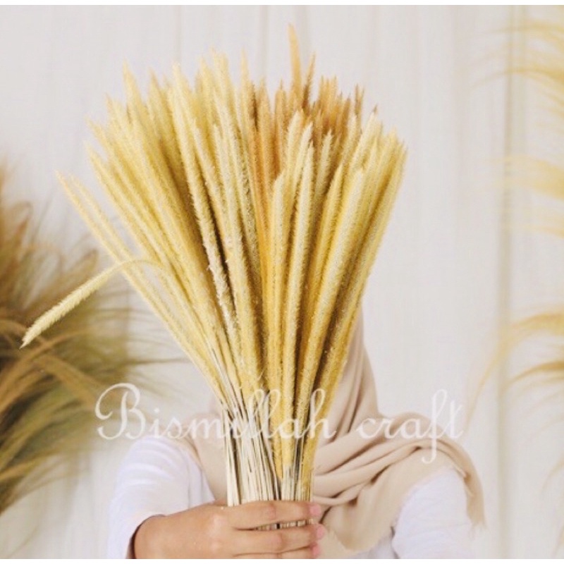 Jual SATARIA NATURAL BAHAN BUCKET BAHAN RUSTIC SATRIA MURAH (perbatang ...