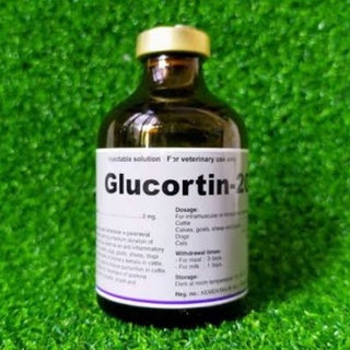 Jual Glucortin anti radang hewan | Shopee Indonesia