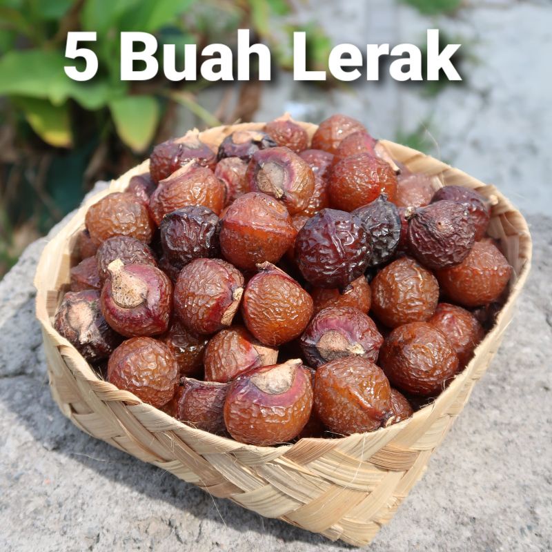 Jual Buah+Biji Sabun Lerak Mewalik Indonesia|Shopee Indonesia