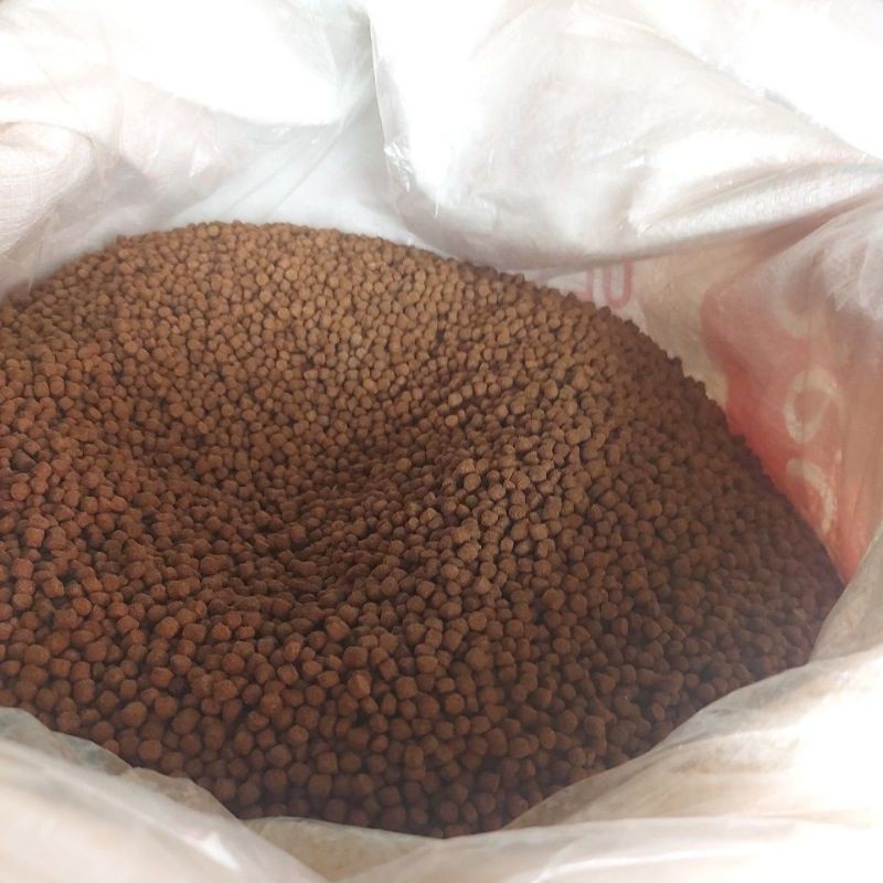 Jual PELET IKAN LELE TERMURAH PAKAN IKAN IKAN LELE GURAME NILA 1kg ...