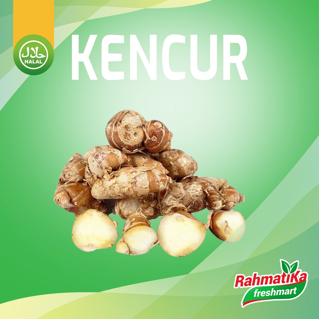 Jual Kencur Segar / Kencur Fresh 500 gram | Shopee Indonesia
