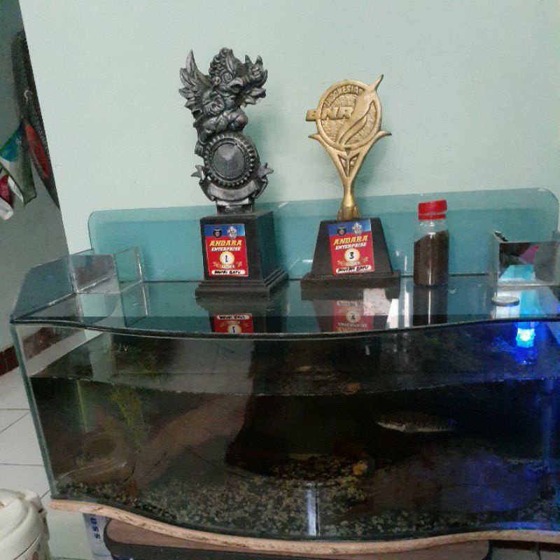 Harga Predator Aquatic Terbaru Sep 2024 |BigGo Indonesia