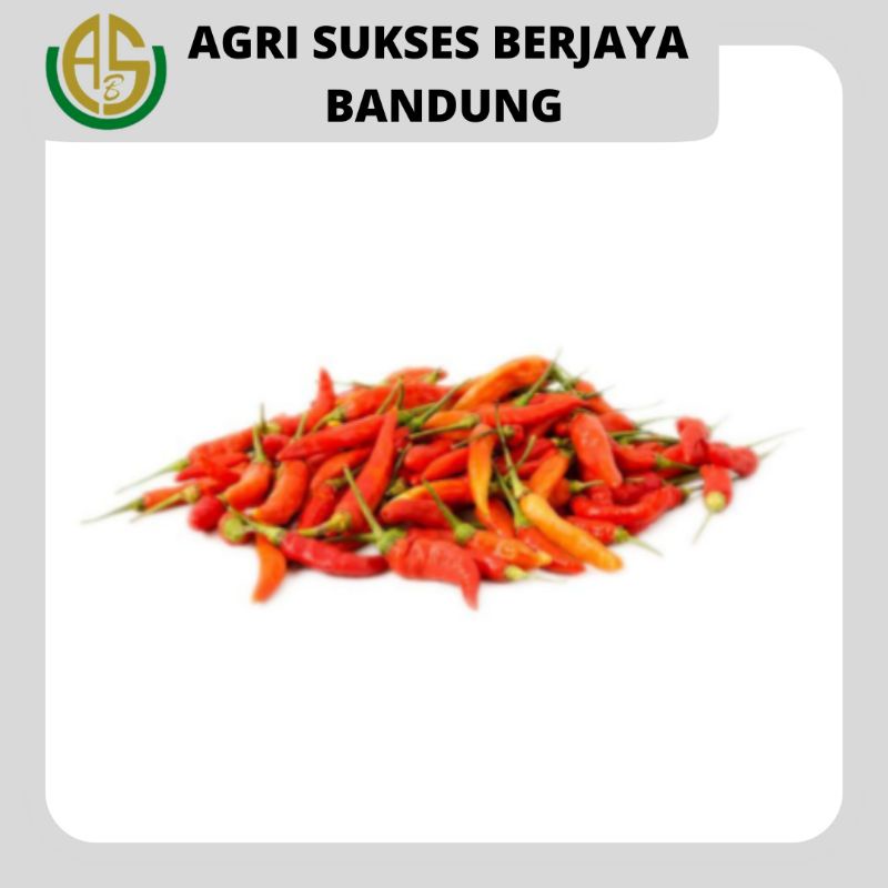 Jual Cabe Rawit Merah Cengek Domba 100 gram | Shopee Indonesia