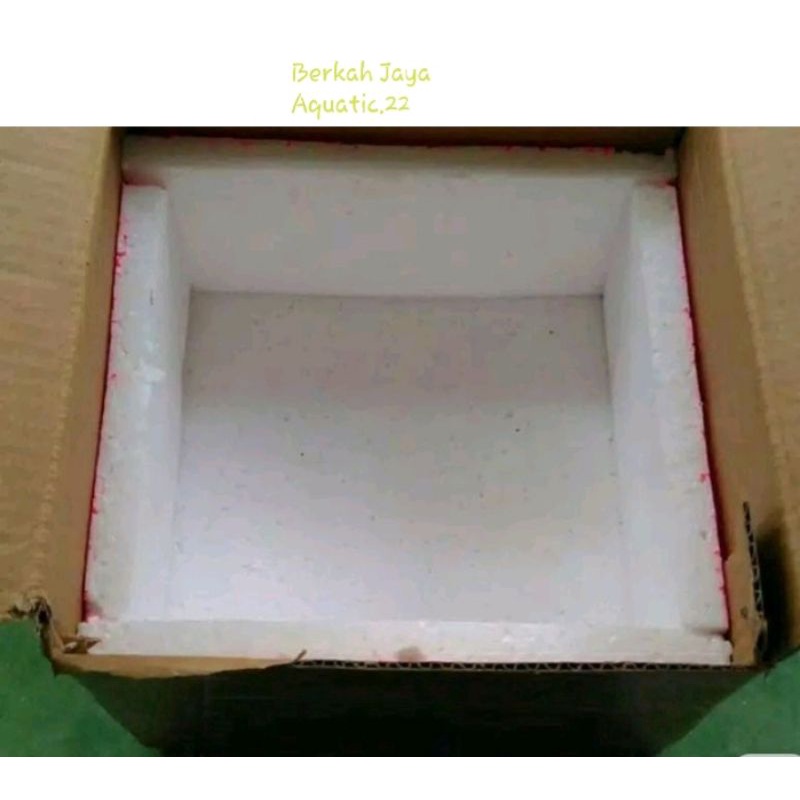 Jual Box Styrofoam tambahan buat packing | Shopee Indonesia