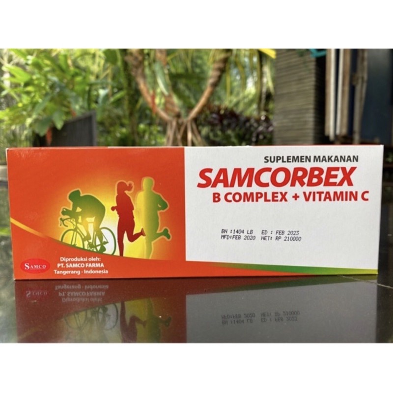 Harga Samcorbex Terbaru Agustus 2023 |BigGo Indonesia