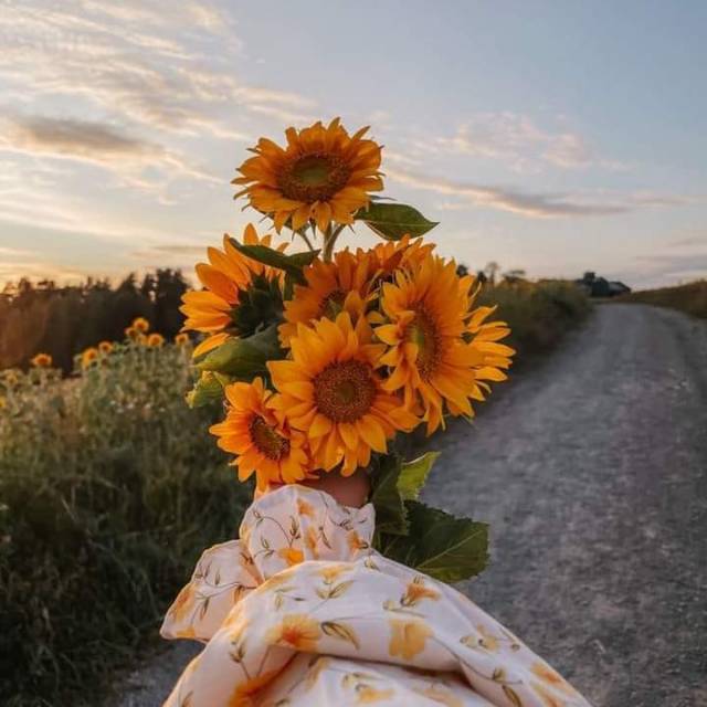 Produk Marie PRO - Sumut | Shopee Indonesia