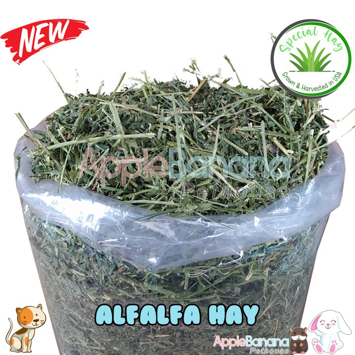 Jual Alfalfa Hay 500 gram SH Special Hay Rumput Hay Alfalfa 500gr ...