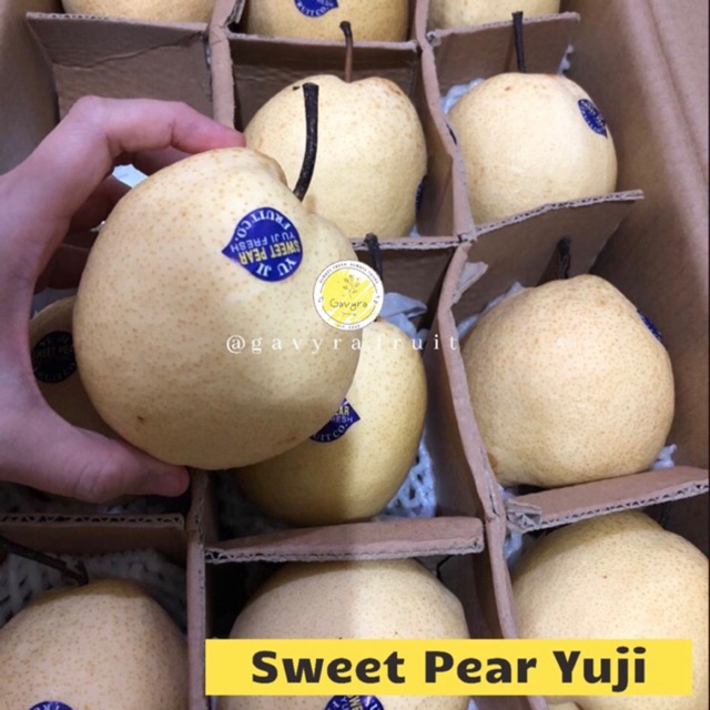 Jual Sweet Pear Yuji (Kg) | Shopee Indonesia