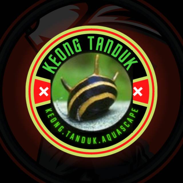 Produk KEONG TANDUK AQUASCAPE | Shopee Indonesia