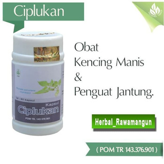 Jual CIPLUKAN Tazakka Prostat, Bengkak Buah Pelir, Batuk Rejan ...
