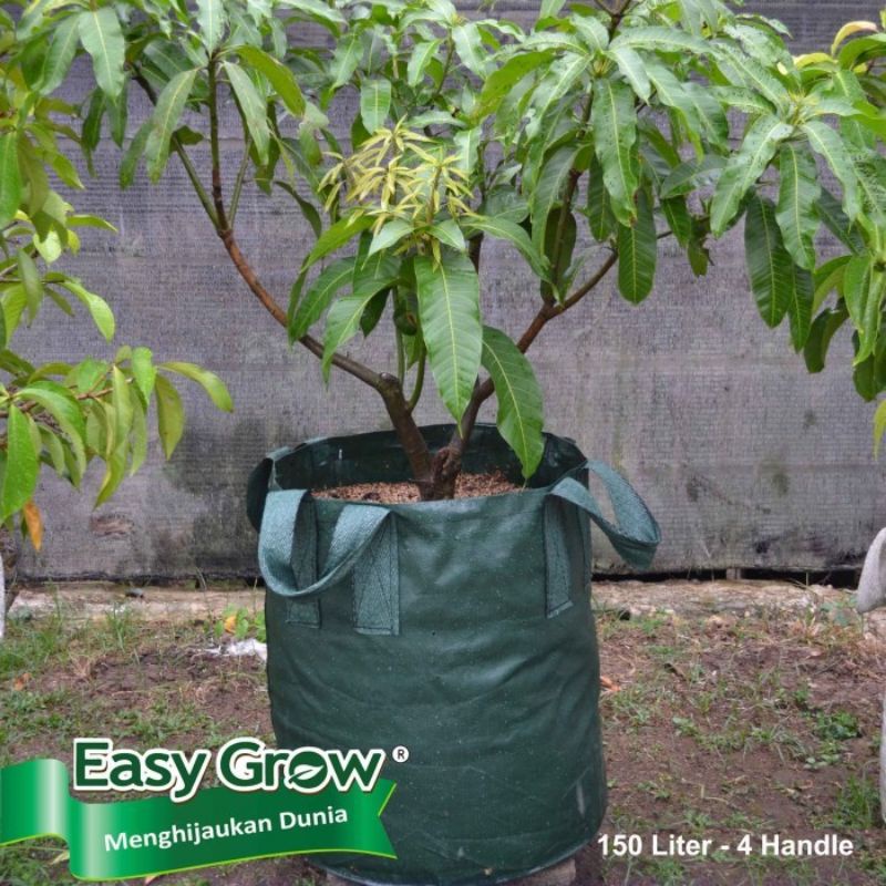 Jual PLANTER BAG 150 LITER EASY GROW / PLANTERBAG / PLATER BAG TAMAN ...