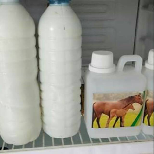 Jual Susu kuda liar asli sumbawa 500ml | Shopee Indonesia