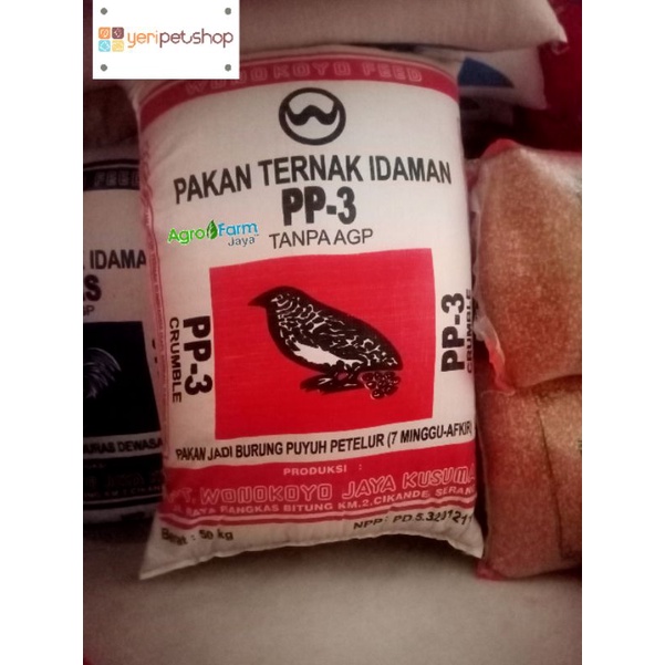 Jual Pakan Puyuh Petelur PP3 Wonokoyo Kemasan Repack 1 kg Murah ...