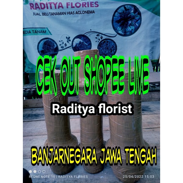 Jual cek out shopee live nota 10-50k Reguler | Shopee Indonesia