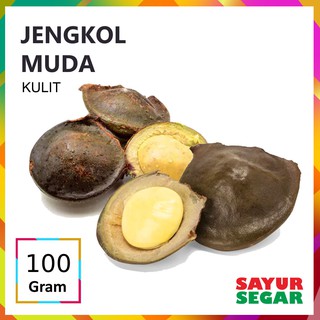 Jual Jengkol Muda Kulit [250G] | Shopee Indonesia