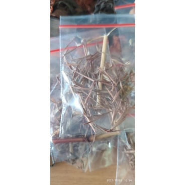 Jual Bunga serai aka bunga sereh hutan langka | Shopee Indonesia