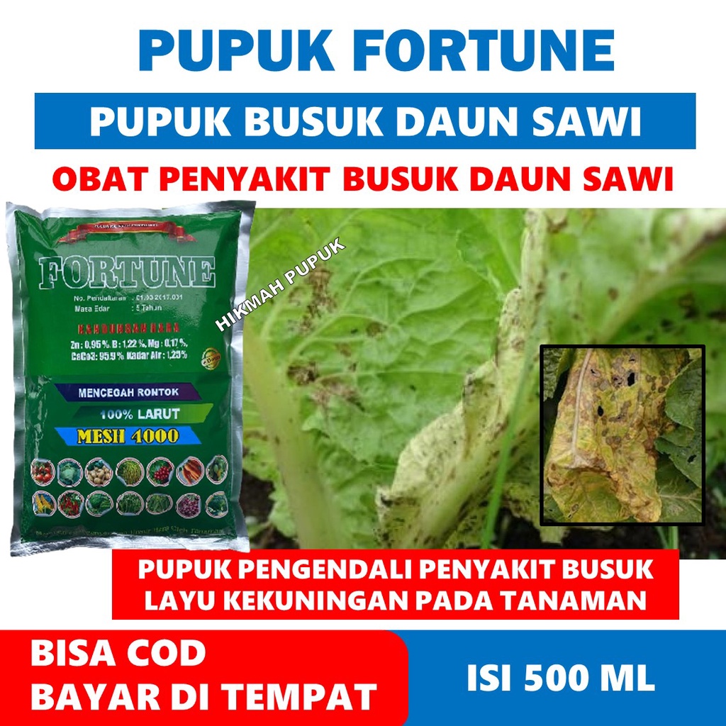 Jual (PROMO COD) FORTUNE isi 1KG 500 ML Obat Busuk Daun Sawi - Obat ...