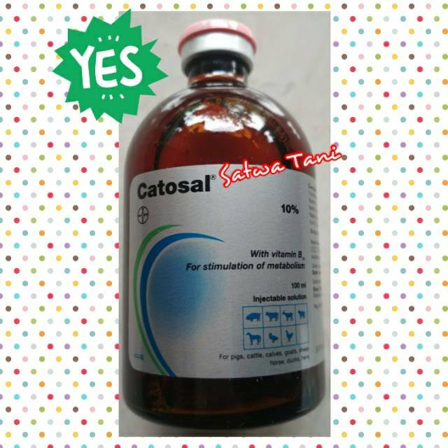 Jual CATOSAL 100 ml | Shopee Indonesia