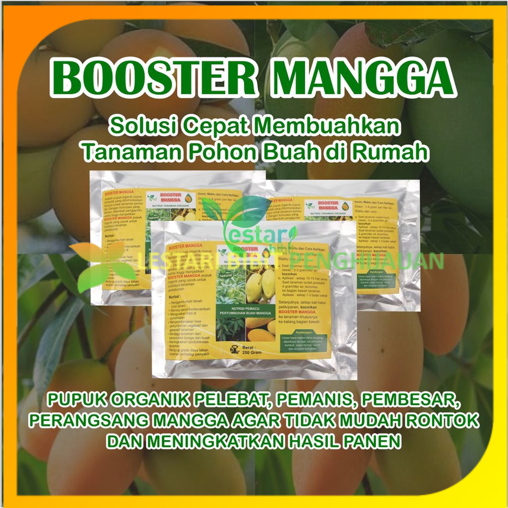 Jual Pupuk Booster Mangga Agar Cepat Berbuah Lebat | Shopee Indonesia