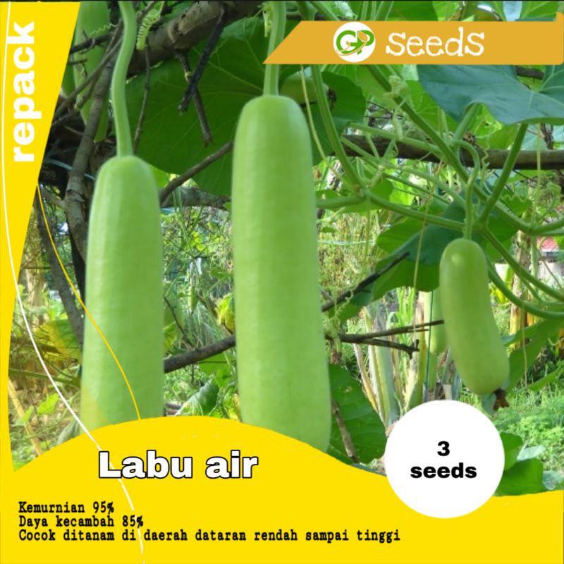 Jual benih labu air ruma f1 | bibit labu air | benih labu air panah ...
