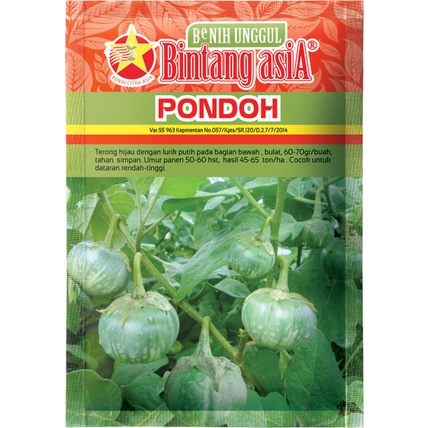 Jual Benih / Benih Terong Terong PONDOH 10 Gr - Reguler Pouch - Bintang ...