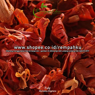 Jual Rempahku - FULI Bunga Pala 10gr Sample Mace Fuly Kembang Kering ...