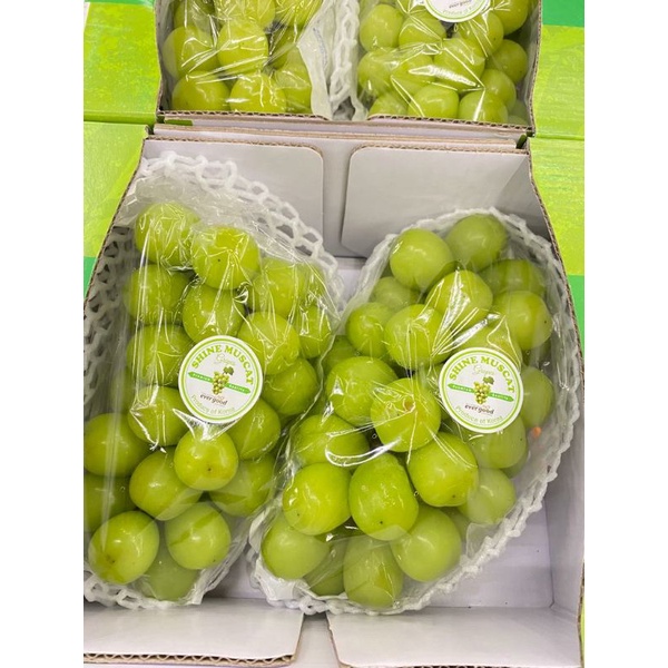 Jual Anggur shine Muscat Korea jumbo original | 1 kg | Shopee Indonesia