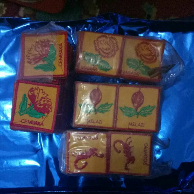 Jual Tanda Regu pramuka | Shopee Indonesia