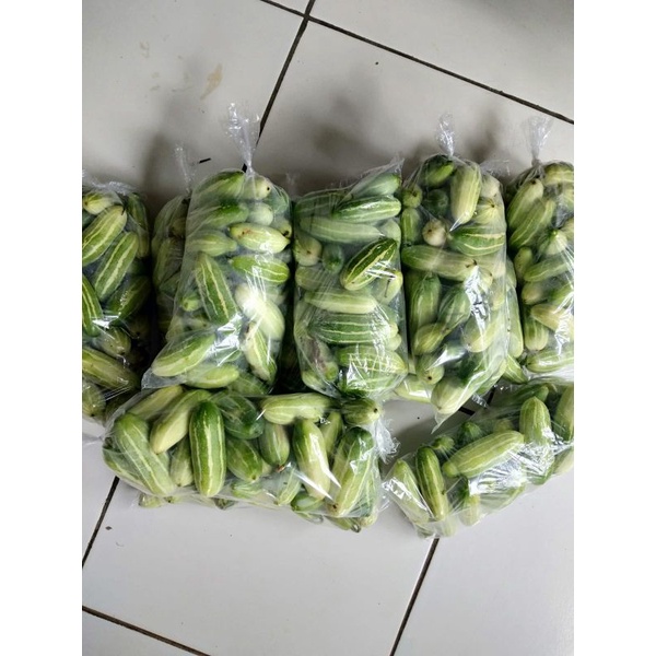 Harga Bonteng Terbaru Februari 2024 |BigGo Indonesia