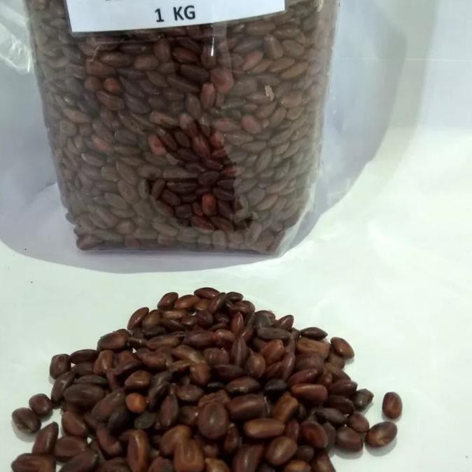 Jual 10 ONS BIJI BENIH POHON SAMAN TREMBESI | Shopee Indonesia