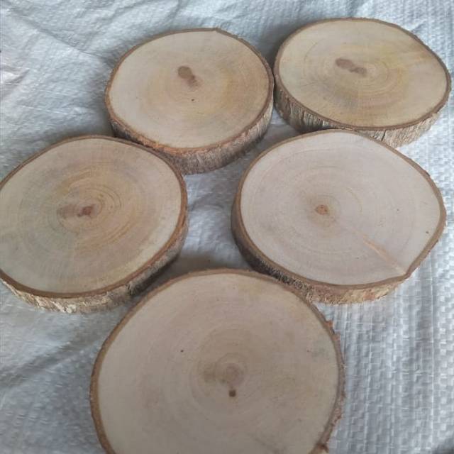 Jual Wood slice potongan kayu mahoni diameter 6 cm | Shopee Indonesia