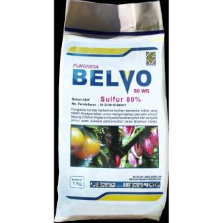 Jual BELVO Fungisida 1 kg | Shopee Indonesia