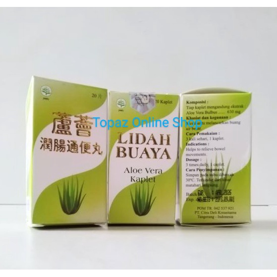 Jual Kapsul Lidah Buaya Aloe Vera Kaplet NF Nan Fung Obat Sembelit ...