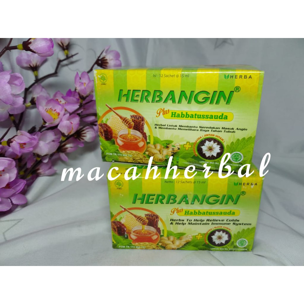Jual MACAH HERBAL - HERBANGIN PLUS HABBATUSSAUDA 1 BOX ISI 12 SACHET ...