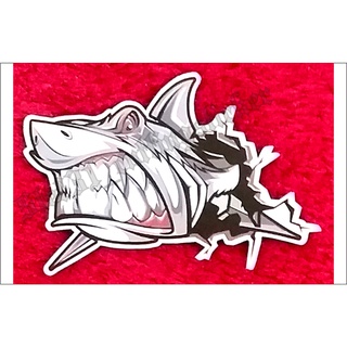 Jual Sticker printing gambar hiu stiker hiu | Shopee Indonesia