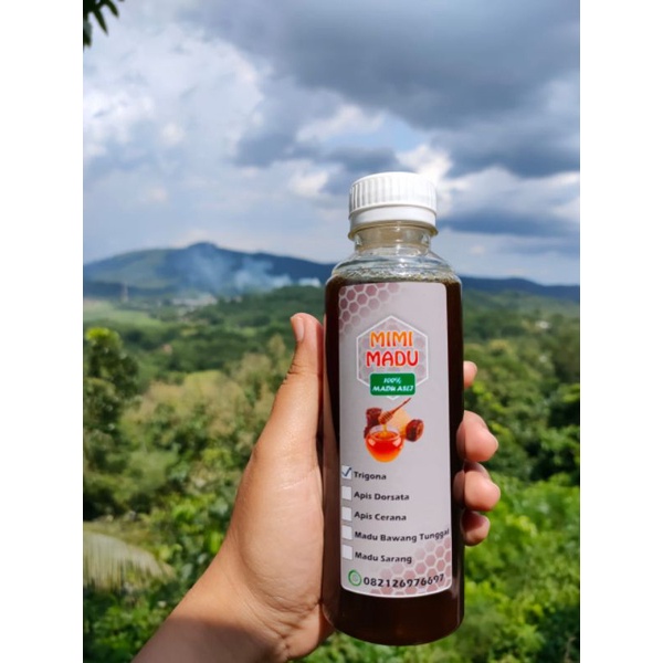 Jual Madu Asli / Madu Murni Trigona (Klanceng) 250 Gram | Shopee Indonesia