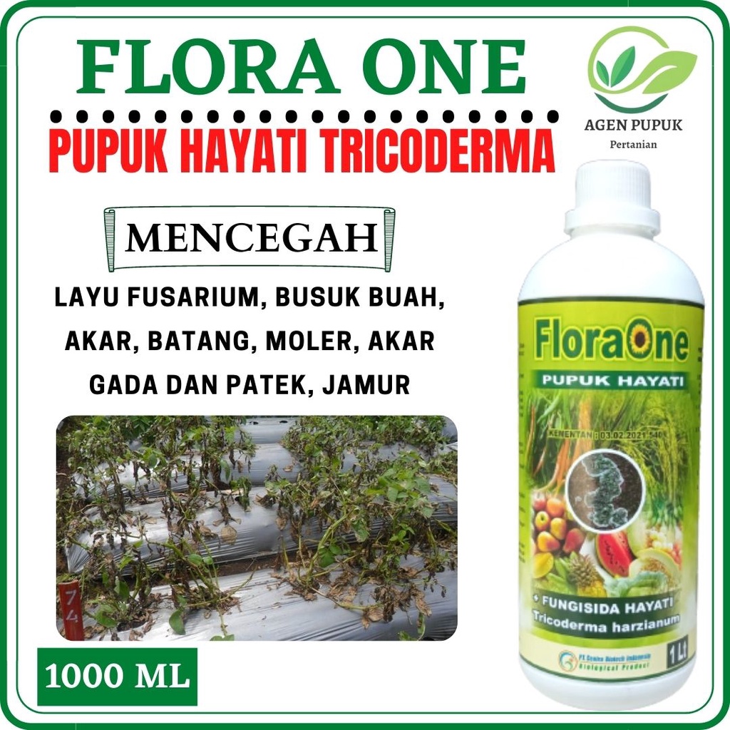Jual Pupuk FloraOne Trichoderma, Pupuk Hayati Cair Tricoderma Pencegah Layu Fusarium | Shopee ...
