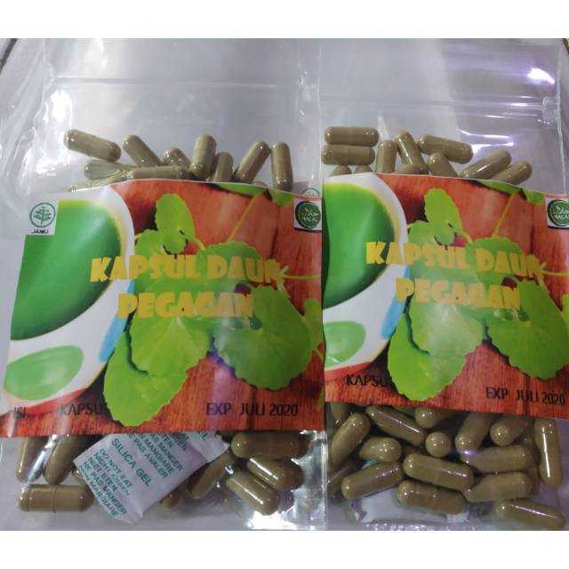 Jual Kapsul Pegagan /Antanan Herbal Nutrisi dan Vitamin Untuk ...