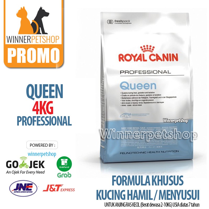 Royal canin Pro queen 4kg - Untuk kucing hamil / menyusui , royal canin ...