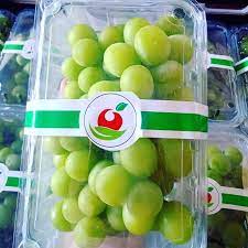 Jual 500gr Anggur Shine Muscat, Anggur Korea Premium, Buah Premium ...