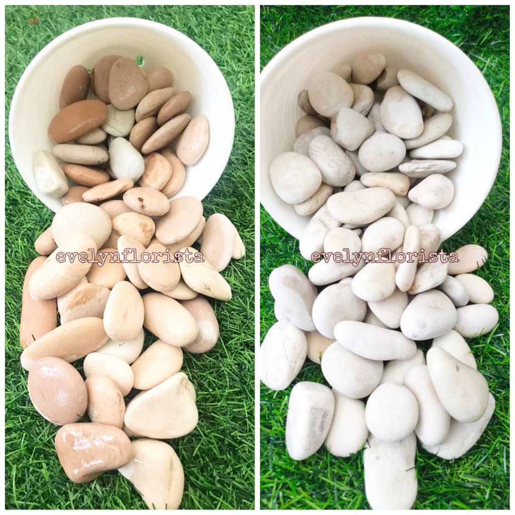 Jual Batu Besar Hias Variasi Warna Berkualitas Tanaman dan Aquarium ...