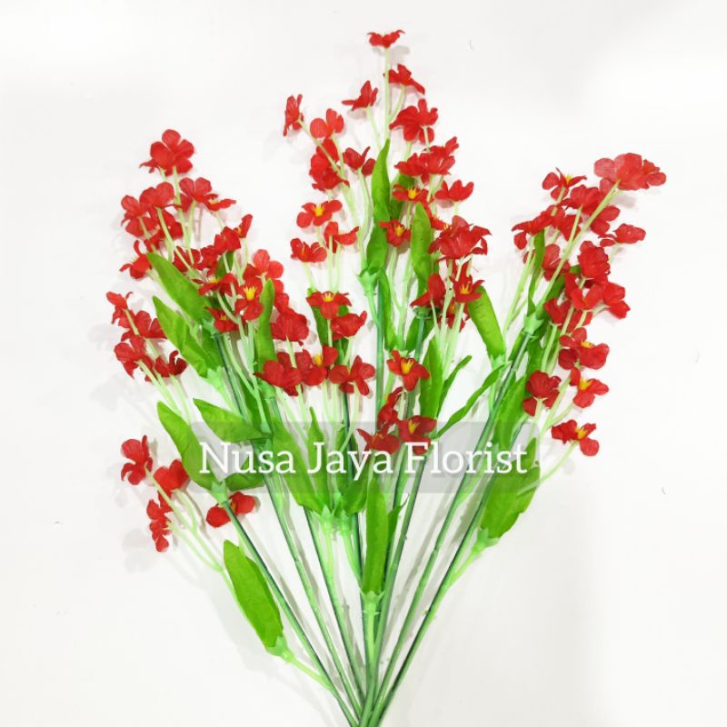 Jual Bunga Forget Me Not Mini (Pikok /Peacock) | Shopee Indonesia