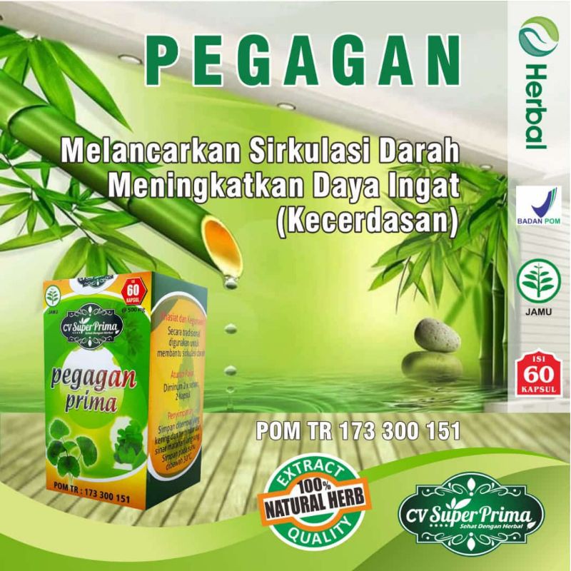 Harga Ekstrak Pegagan Terbaru Agustus 2024 |BigGo Indonesia